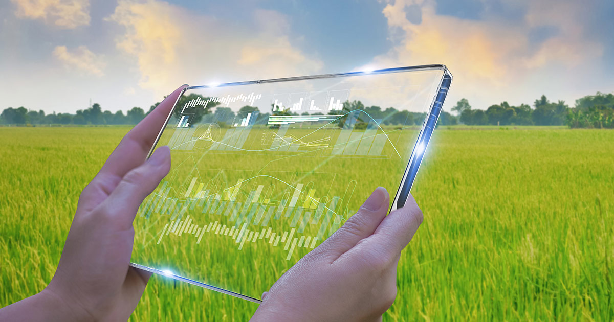 Farmer Training, Agri Tourism & Consulting Services Provider | DIMO