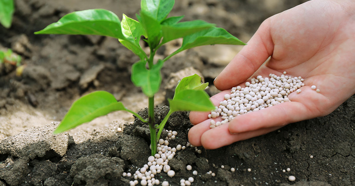 Agriculture Chemical Solutions | Chemical Fertilizer Provider | DIMO
