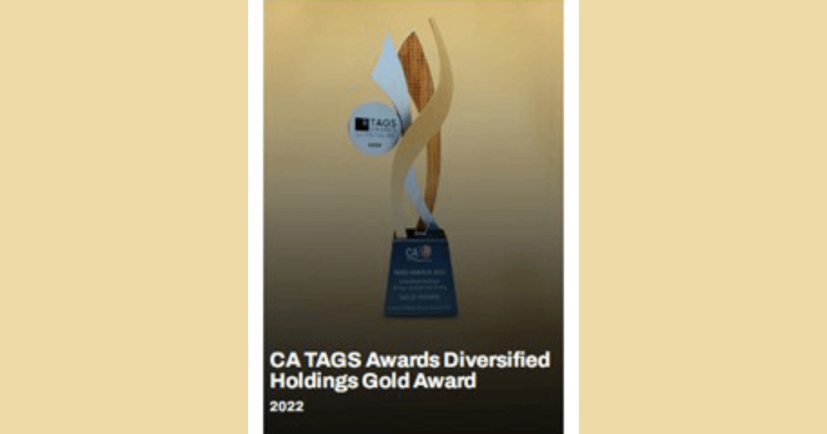 TAGS Awards 2022 - Gold Award in the Diversified Holdings