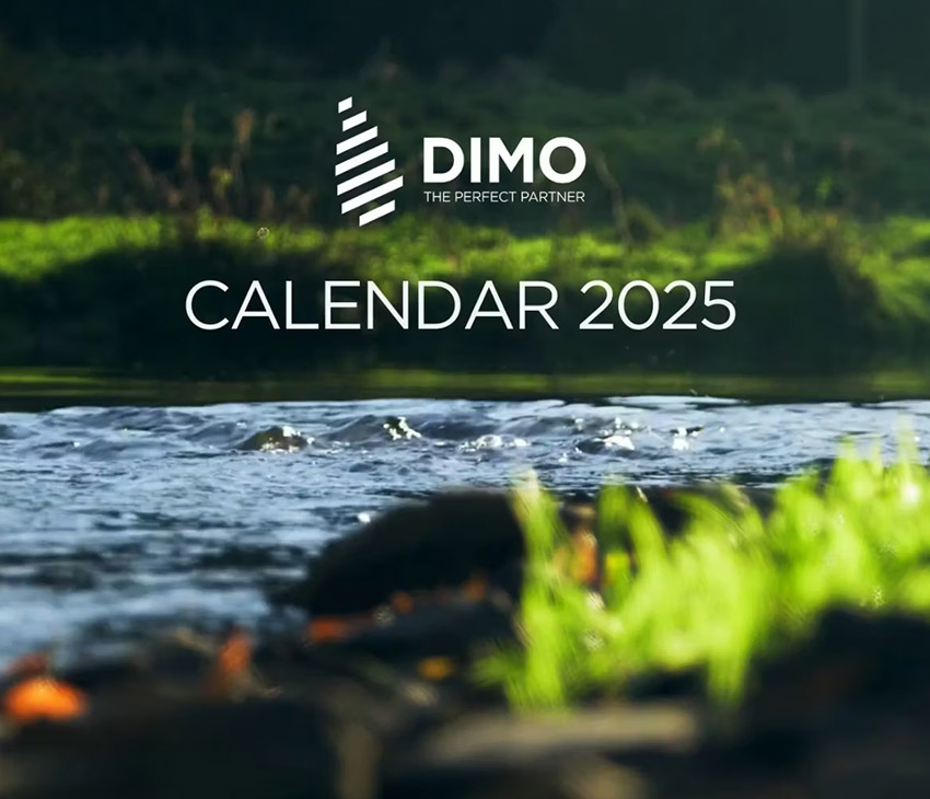 November | Wall Calendar | DIMO