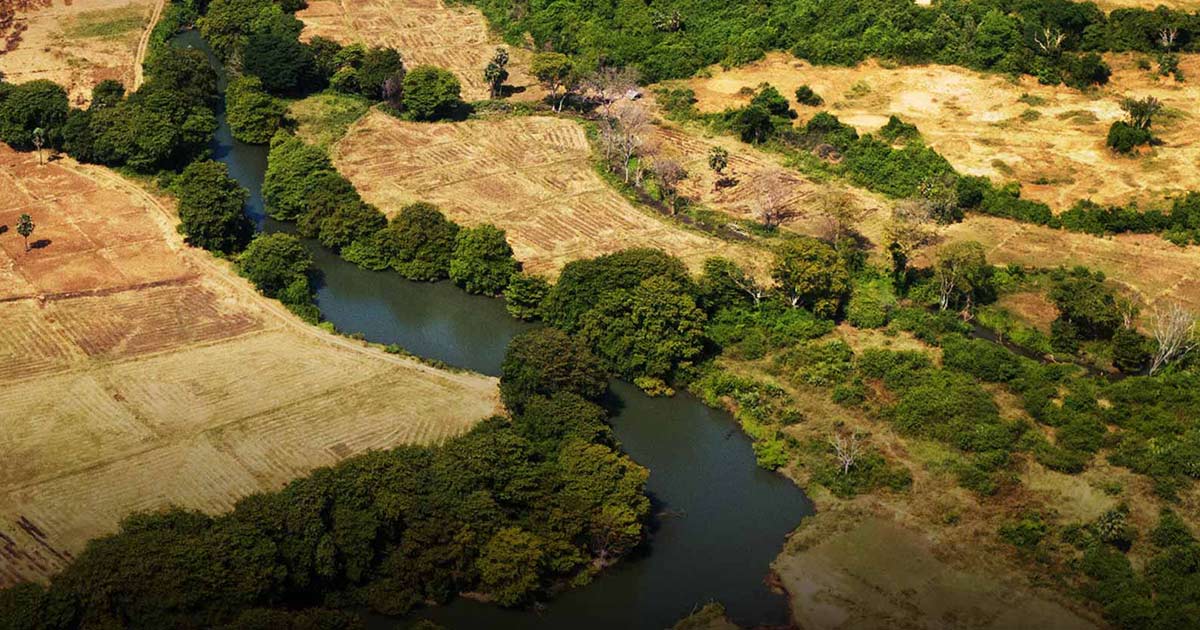 September | Wall Calendar 2025 | DIMO