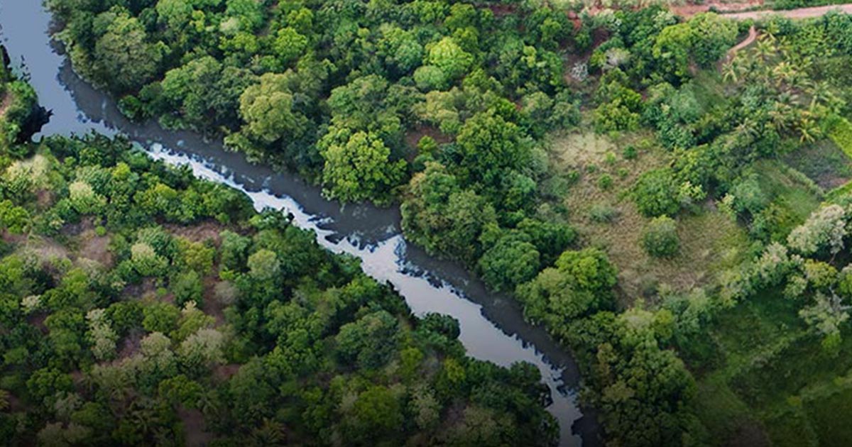 May | Wall Calendar 2025 | DIMO